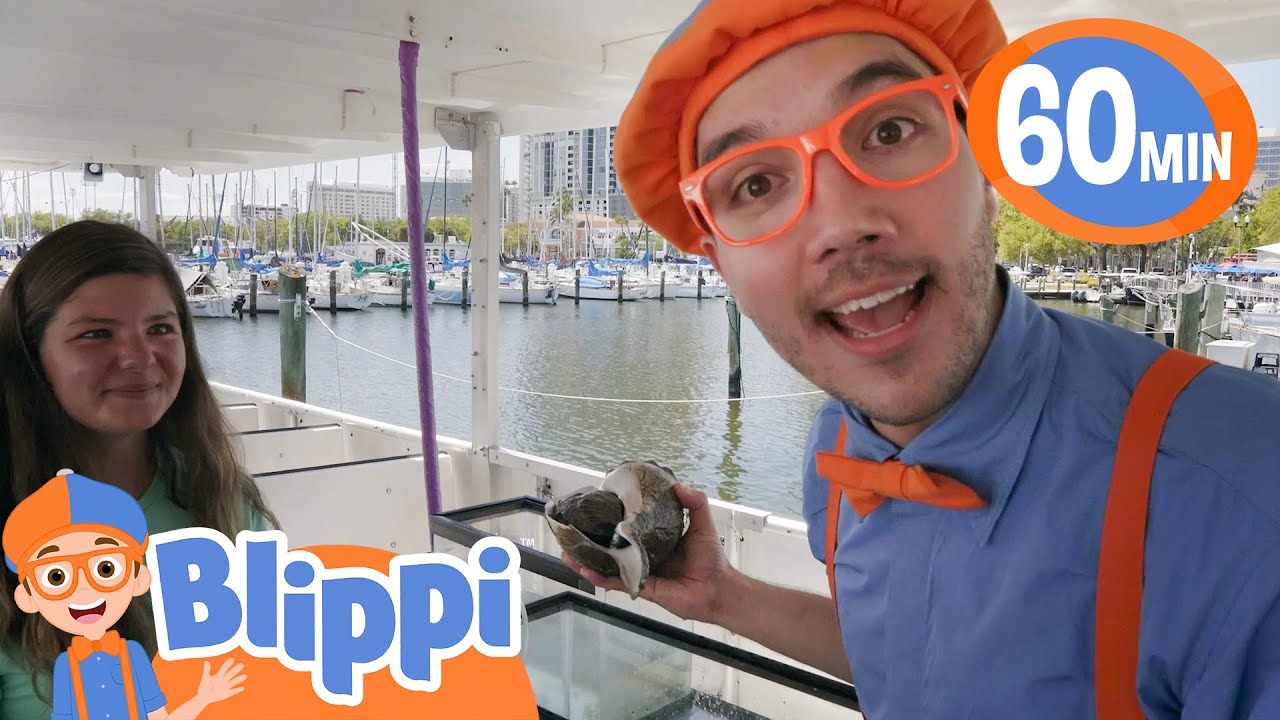 Blippi Full Episodes Kids