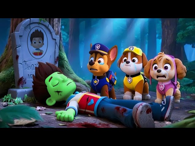 Please Don't Cry Chase - Youtube Kids